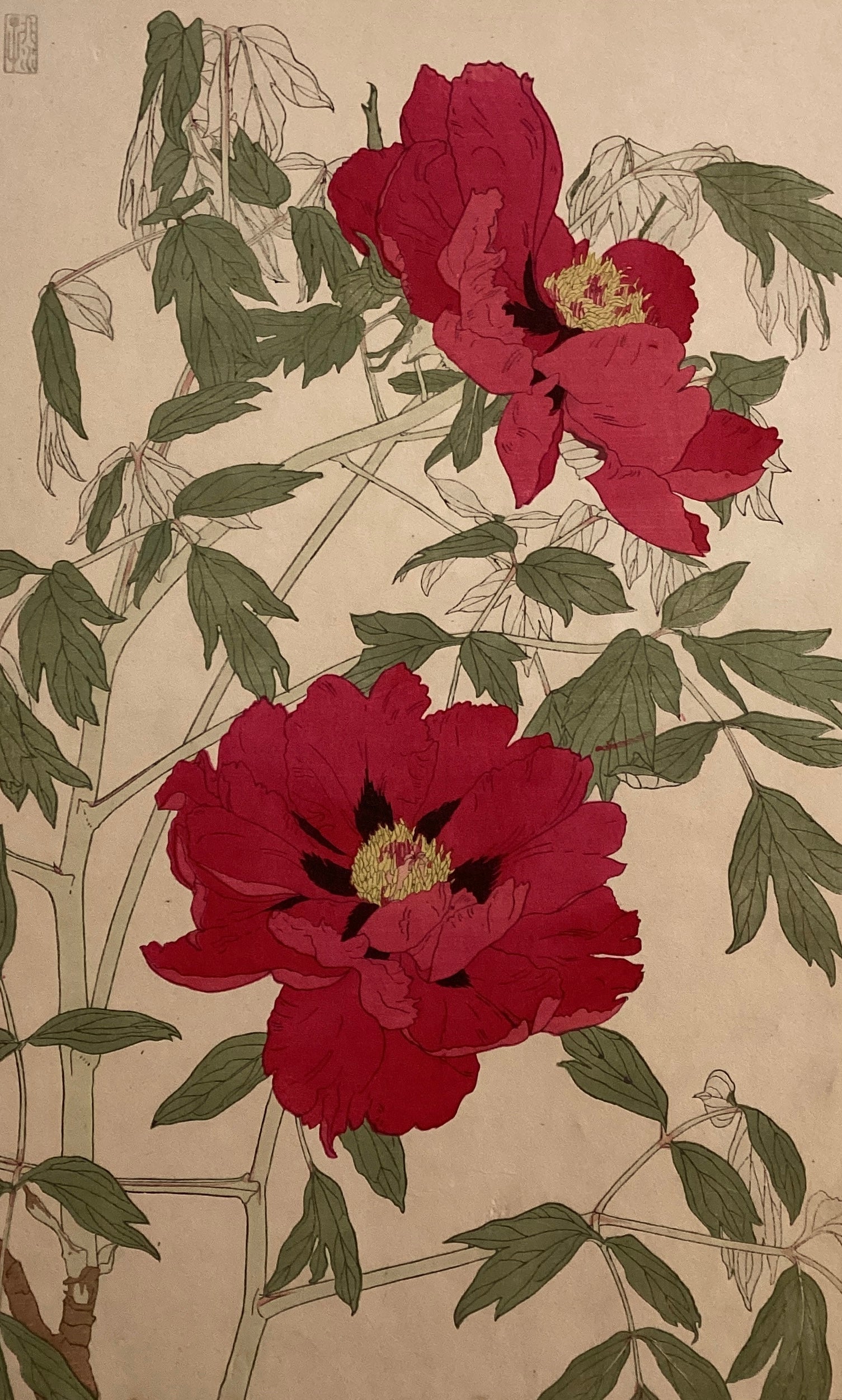 Sugiura Hisui Botan Japanese woodblick print flower – curve-arts